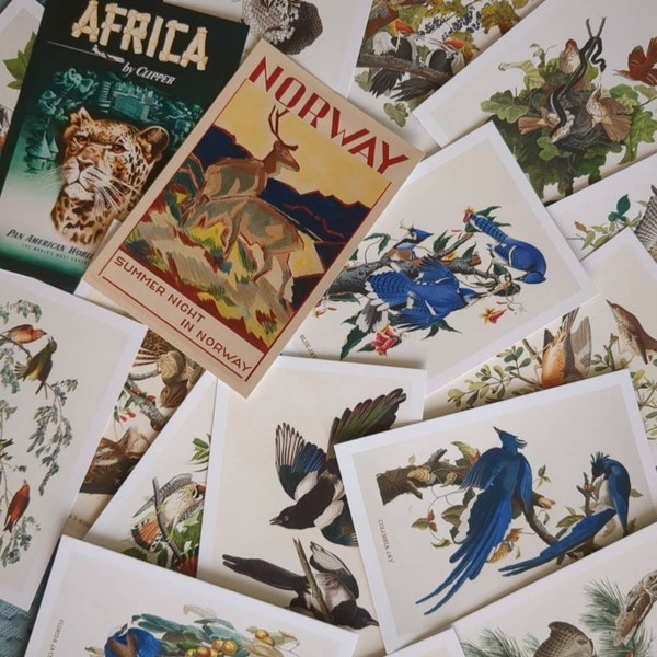 Spice World Map – Pictorial Map of the World – Illustrated Global Trade ...