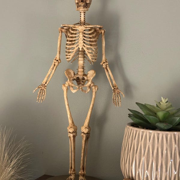 Hand-painted 3D Printed Human Skeleton Craft in Antique Bronze - Human ...