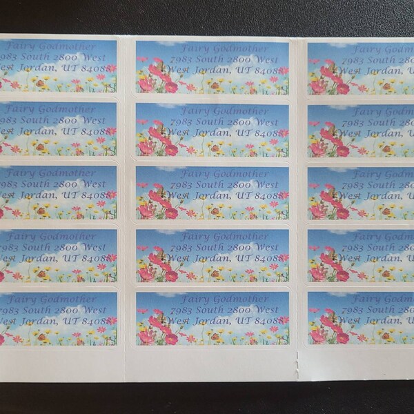 30 Personal Address Label Cartoon Ladybugs (bx 470) - Etsy