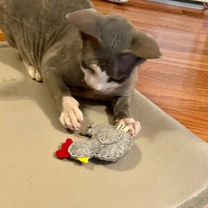 Bomb Pop Cat Toy Organic Catnip Wool-blend Felt - Etsy