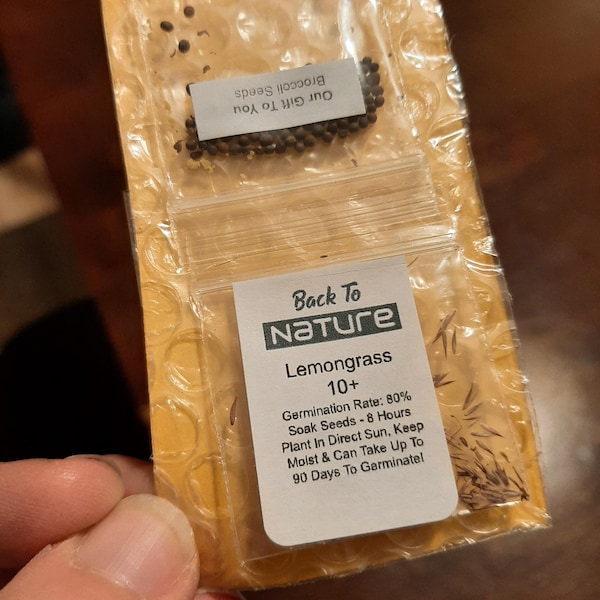 Lemongrass Seeds - Organic & Non Gmo Lemongrass Seeds - Heirloom Herb ...