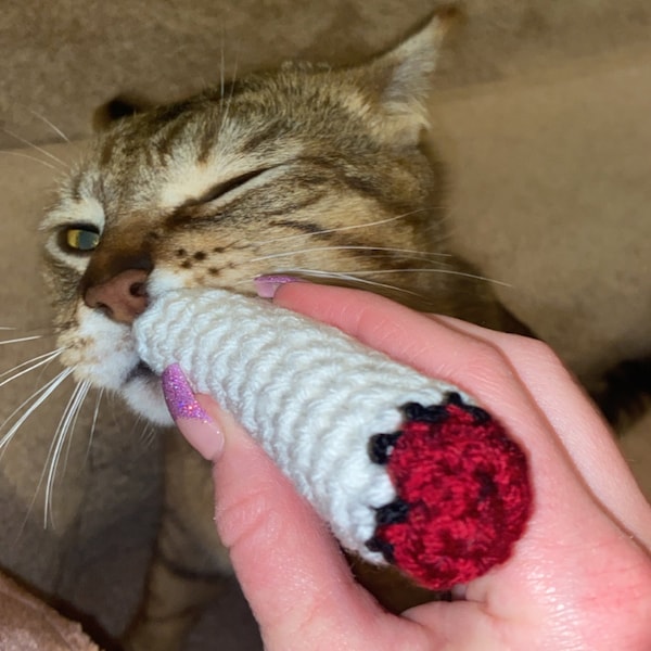 Catnip Doobie Toy, Novelty Cat Toy, Catnip Joint Toy, Crochet Joint Cat Toy, Funny Catnip Toy ...