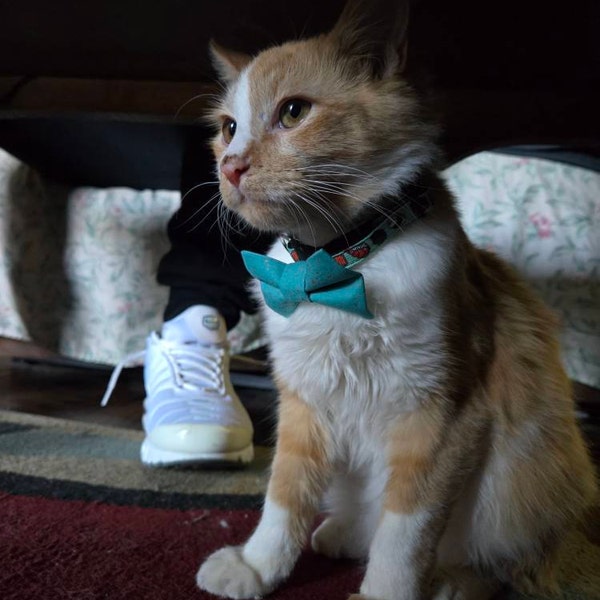 Cat Collar - "the Ringleader" - Cat Collar - Bright Pink Velvet - Etsy