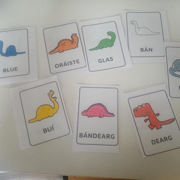 Learn Irish Body Parts With Flashcards - 32 Printable Cards for Kids ...