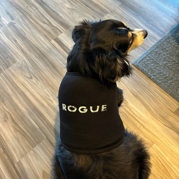 Chaotic Neutral Alignment D&D Cap, Gift for Geeks, Gamers, TTRPG Fans ...