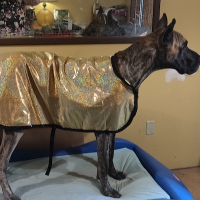 Dog Drying Coat Grooming Coat Lycra Washable Comfortable - Etsy