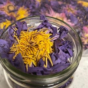 1000g Premium Organic Dried Blue Lotus Flowers Blue Tea Herbal Tea ...