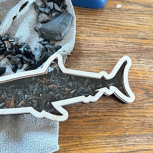 Shark Teeth Shadow Box for Shark Teeth, Small Shells, Fossils, Agates ...