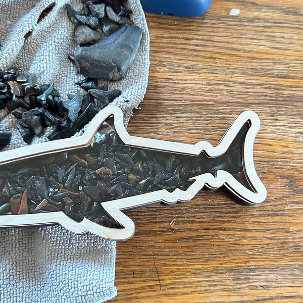 Shark Teeth Shadow Box for Shark Teeth, Small Shells, Fossils, Agates ...