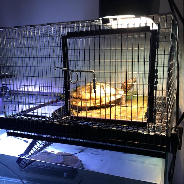 19" Wide X 18" Long X 10'" Tall Basking Turtle Aquarium Tank Topper ...