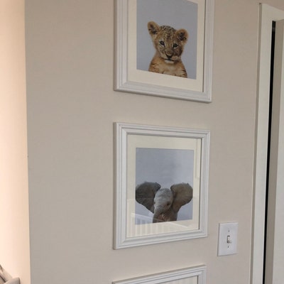 Safari Nursery Decor, Baby Animals Set 6, Lion Zebra Elephant Giraffe ...