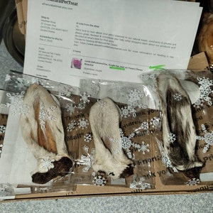 Rabbit Feet Dehydrated 5 Pack Hair on Treats Chews Bone Ear - Etsy