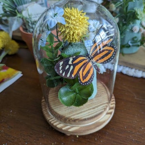 Realistic Paper Butterflies, Ready to Use Cut Outs 10 Pieces - Etsy