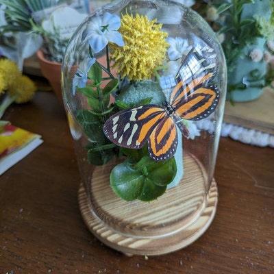 Realistic Paper Butterflies, Ready to Use Cut Outs 10 Pieces - Etsy