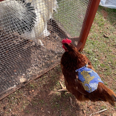 Chicken Diaper/ Hen Diaper/ Rooster Diaper/ Poultry - Etsy