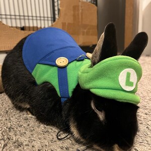 Colonial Tricorn Pirate Hat for Pet Bunny Rabbit and Other - Etsy