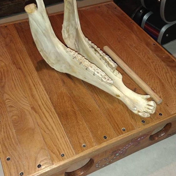 Quijada, Charrasca, Cacharaina, Charaina, Horse Jaw, Percussion ...