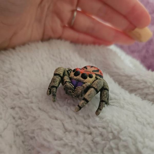 Regal Jumping Spider Figure - Red Phase Phidippus Regius - Hand Painted ...