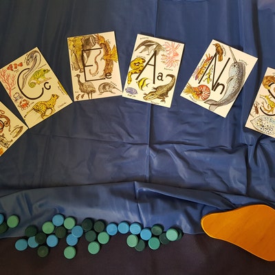 A to Z Menagerie. 26 Animal Alphabet Learning and Teaching Flash Cards ...