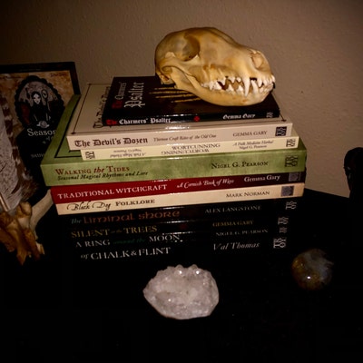 Horns of the Moon by Kerry Wisner. Paperback Edition. - Etsy