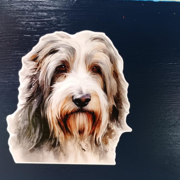 Cavalier King Charles Spaniel Car Sticker – Weatherproof Dog Sticker ...