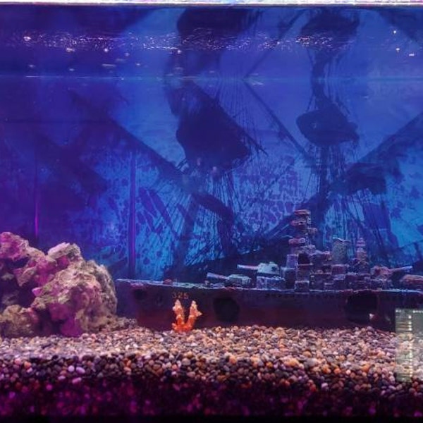 Aquarium Background Sunshine Underwater World Fish Tank Background ...