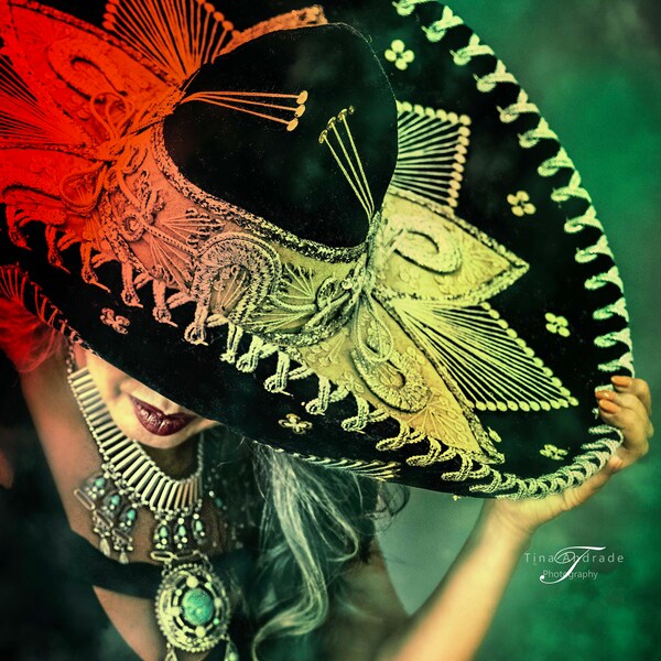 Flying Tulle Fabric Brushes for Photo Editing, Realistic Tulle Veil ...