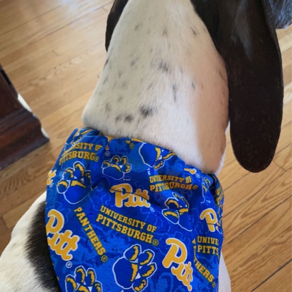 Spiderman Dog and Cat Bandana With Optional Personalization, Matching ...