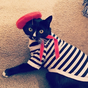 Complete French Cat Outfit Cat Beret Ascot and Striped Shirt - Etsy