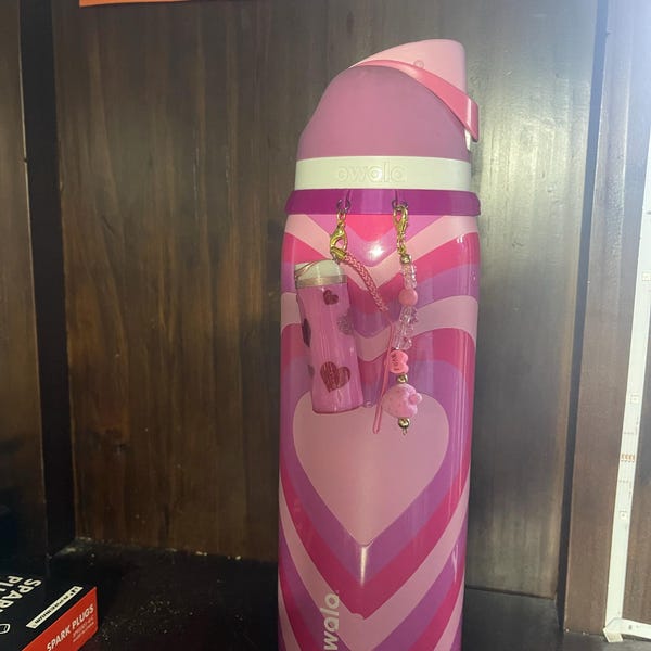 The Tinywala- Customizable Keychain Water Bottle Inspired by the Owala ...