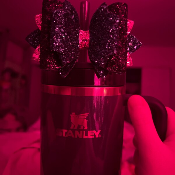 White Reverb Stanley Tumbler Bow Topper Frost Reverb Straw Topper Pink ...