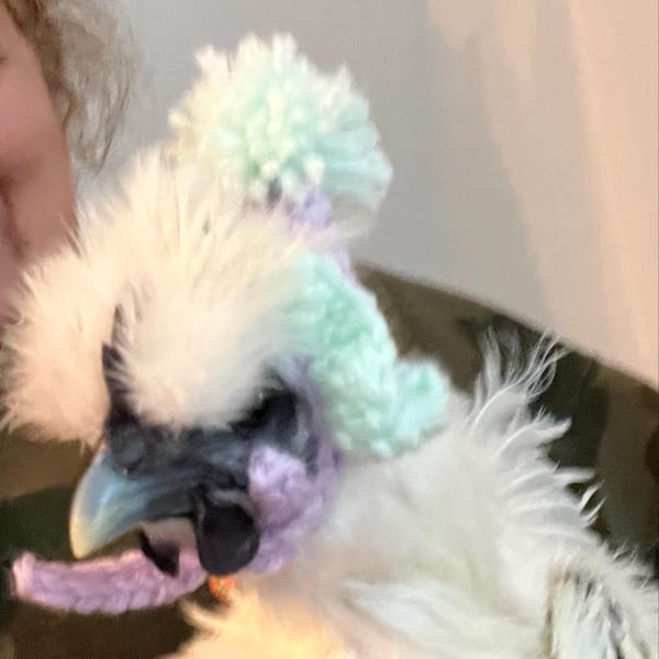 Crochet Chicken Duck Birthday Hat W/ Ruffle and Pom Pom, Poultry ...