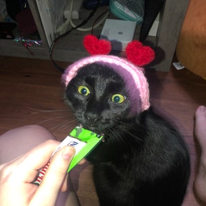 Uncle Sam Hat for Cats 4th of July Cat Accessory - Etsy