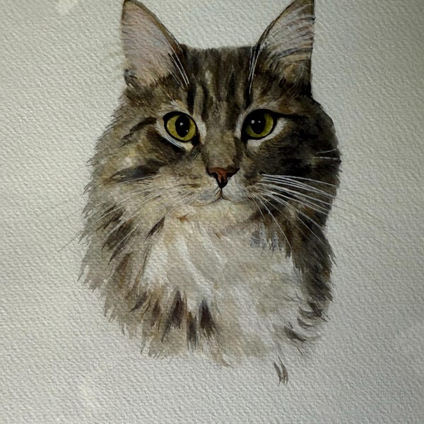 Custom Pet Portrait, Customized Cat Portrait, Cat Portrait Watercolor ...