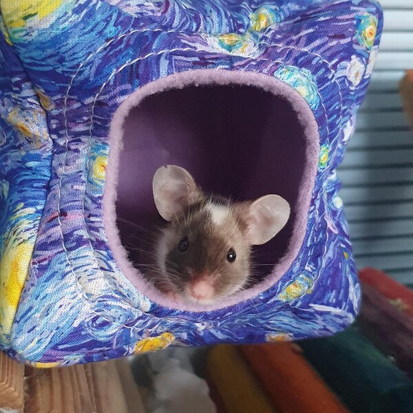 The Cosy Coffin Luxury Halloween Coffin in 3 Sizes, Hanging Cube ...