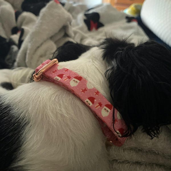 Cowgirl Chic Dog Collar Western Collar Customized Pet Collar Country ...