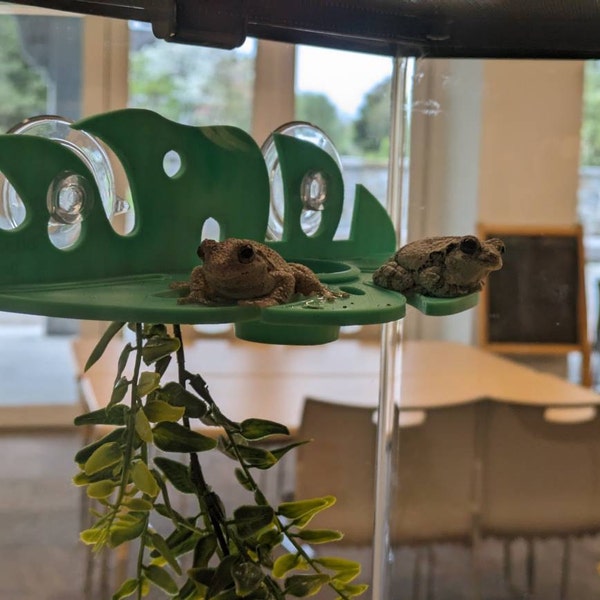 Monstera Feeding Ledge for 0.5oz Deli Cup | Crested Gecko | Reptile ...