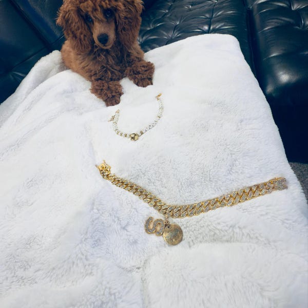 Personalized Cuban Chain, Cuban Chain Dog, Gold Chain Dog,id Link Dog ...