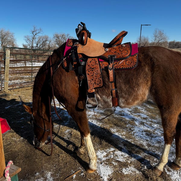 Western Barrel Saddle With Matching Tack Set: Hand Carved Buffalo ...