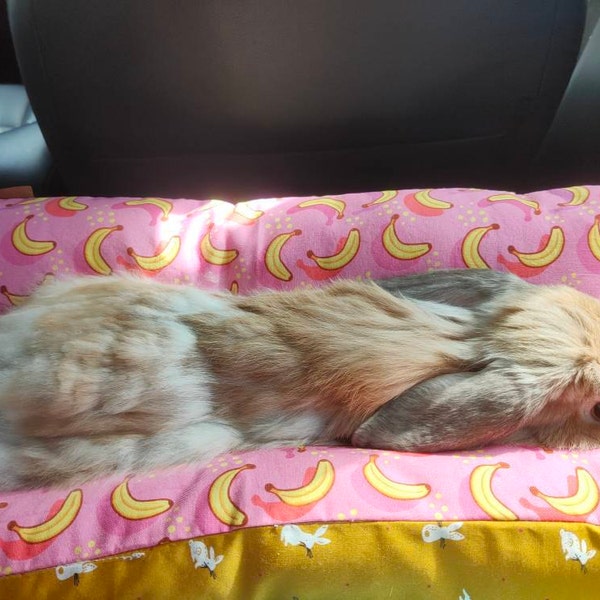 Digital Download Plans for Luxury Bunny Cubby Free Roam Rabbit Cat Home ...