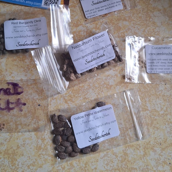 30 Heirloom Dwarf Tiny Tim Tomato Seeds, Organic, Container, Patio ...