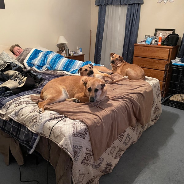 12" Dog Bed Mattress Extender Kit - Dog Bed Extension of Human Mattress ...