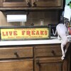 Custom Carnival Freak Show Sign - Rustic Hand Made Vintage Wooden - Etsy