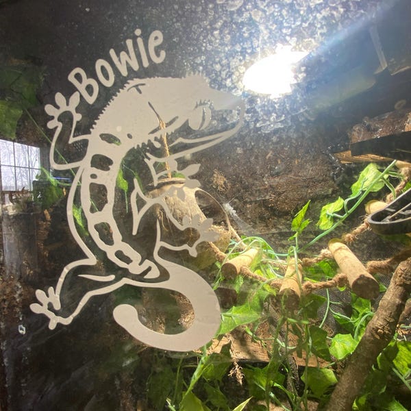 Crested Gecko Decal Customizable Enclosure Decor, Gecko Decal, Reptile ...