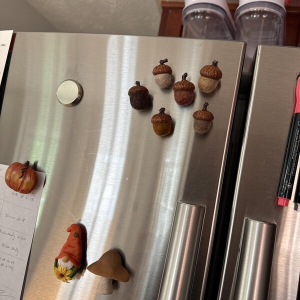 Set of 6 Felted Wool Acorn Magnets in a Tin Box, Refrigerator Magnets ...