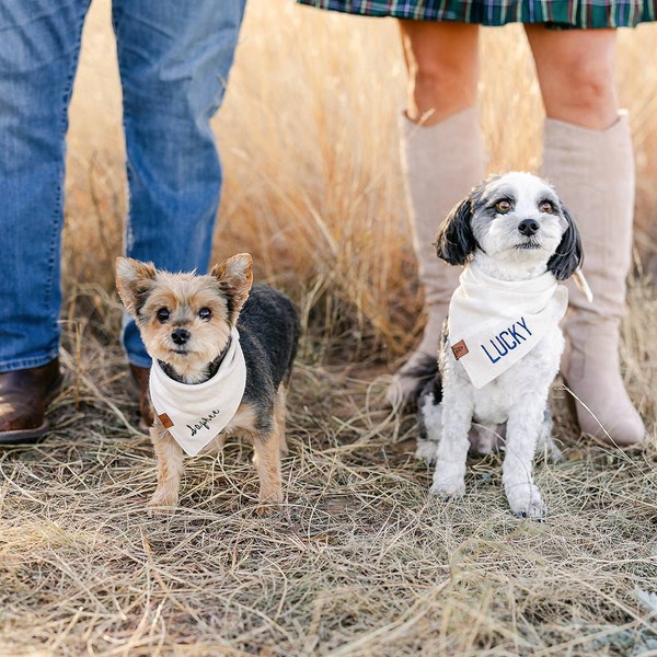 Sage Windowpane Dog Bed Duvet, Modern Farmhouse Dog Bed Cover, Classic ...