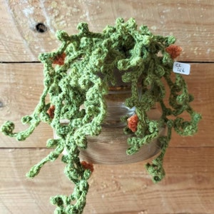 PATTERN All 5 Vines Easy Crochet Guide Step by Step Make - Etsy