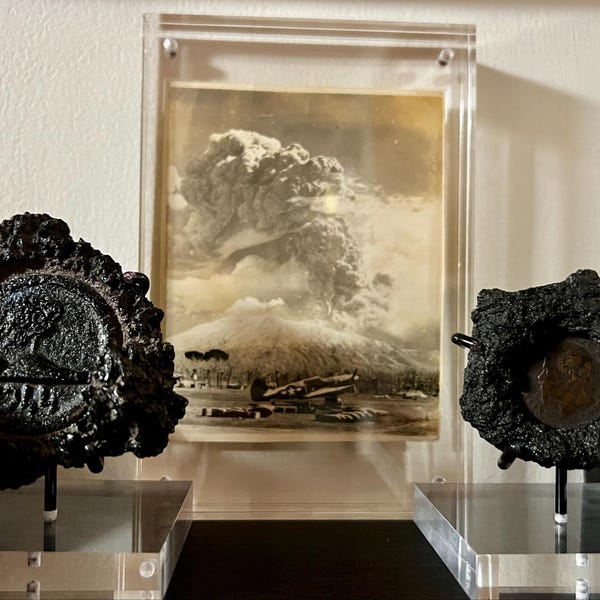 Center Post Base- Display Stand for Shells and Other Hollow Objects- 5 ...