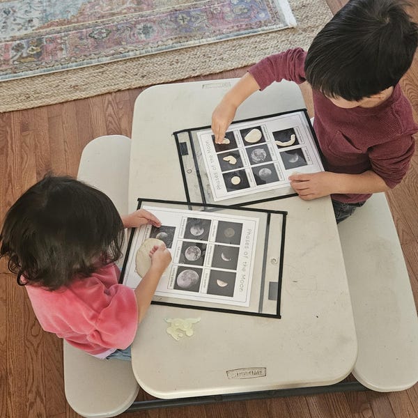 Nature-based First Grade Homeschool Curriculum: Secular, Whole-child ...