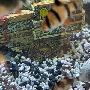 Cursed Aztec Gold Coin Pirates of the Caribbean Prop Gold Coin - Etsy